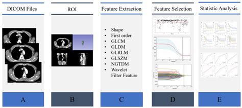 Model Integrating Ct Based Radiomics And Genomics For Survival