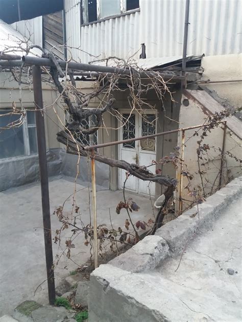 Վարձով սեփական տուն