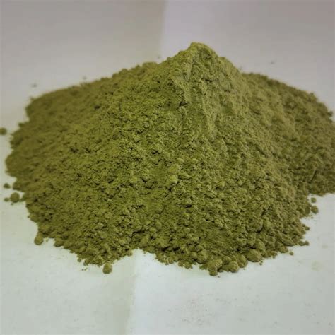 Pure Moringa Powder At ₹ 180kg Pal Patia Village Surat Id