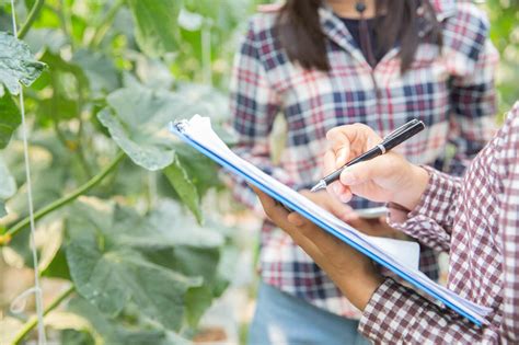 Jornal Opinião Goiás Goiás Atua Na Difusão De Práticas Agropecuárias