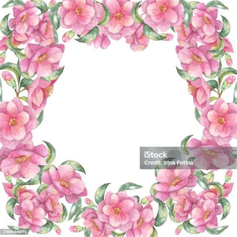 Camellia Japonica 수채화 클립 아트는 사각형 배경에 짙은 분홍색 꽃 프레임을 특징으로합니다 맞춤형 초대장 디지털