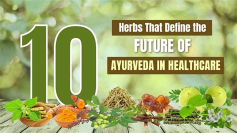 Top 10 Herbs That Define The Future Of Ayurveda In Healthcare