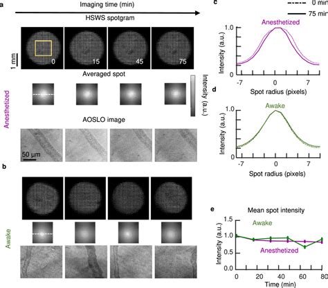 evaluation of ao wavefront correction in the head restrained awake