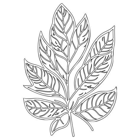 Chestnut Leaf Floral Outline Illustration Sketch 47389056 Vector Art At