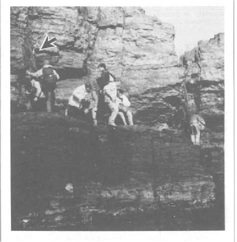 Figure 1 From Trace Fossils Smal Shely Fossils And The Precambrian