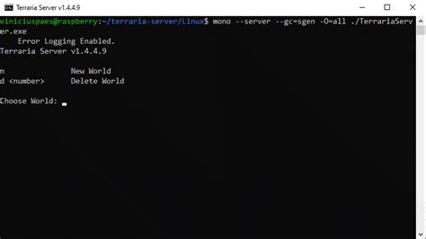 Tutorial Como Criar Servidor De Terraria No Raspberry Pi Vinicius Paes
