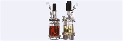 Glass Bioreactors