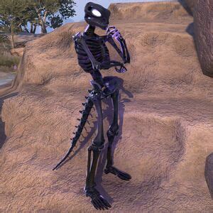 Online Boneman Polymorph The Unofficial Elder Scrolls Pages UESP
