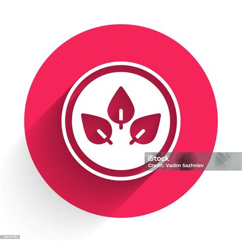 긴 그림자 배경으로 고립 된 화이트 비건 음식 다이어트 아이콘 유기농 바이오 에코 심볼 비건 고기 없음 유당 무료 건강 신선하고