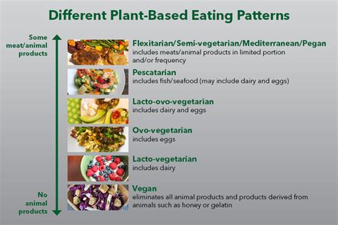 A Primer On Plant Based Eating Sas Life
