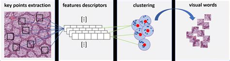 Bag Of Features Approach Image Representation Download Scientific Diagram