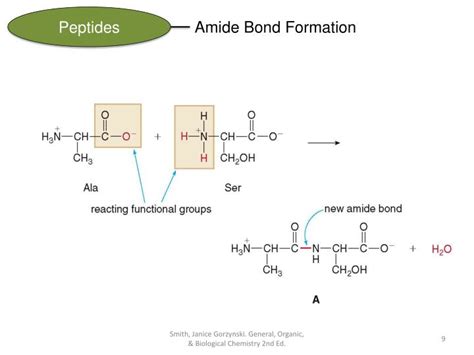 Ppt Chapter Amino Acids Proteins Enzymes General Organic