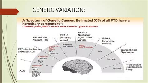 Fronto Temporal Dementia Pptx