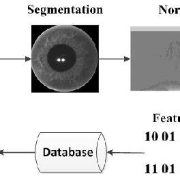 Typical Iris Recognition System Download Scientific Diagram