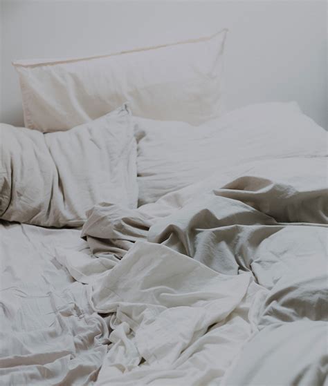 Bed Bugs Public Health Solutions