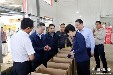 【考察调研】省国开行考察秦安县棚户区改造和产业发展