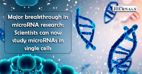 Major Breakthrough In Microrna Research Scientists Can Now Study
