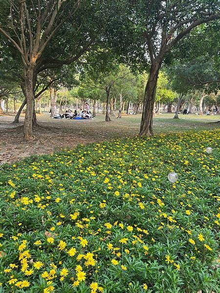 台北市區內的杜鵑花繡球花季。大安森林公園站國內旅遊圖文創作walkerland窩客島