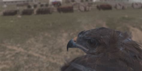 New Course Compositing In After Effects Eagle Flight Project Fxphd
