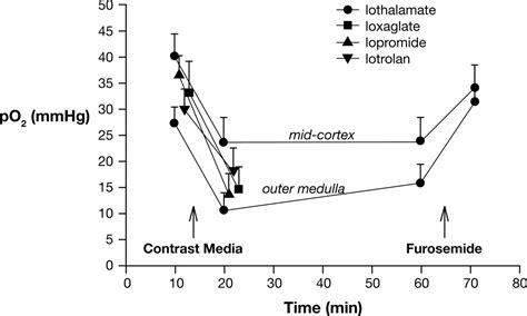 Renal Parenchymal Hypoxia Hypoxia Adaptation And The Patho