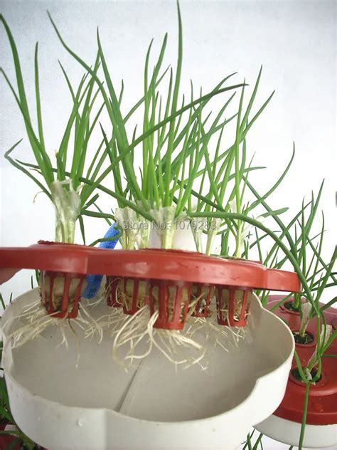 Hydroponics System NFT Nutrient Film Technique Growing In My Box