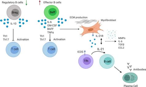 Innovations Unveiled The Evolving Landscape Of Scleroderma Diagnosis