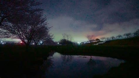 満開の桜並木と夏の天の川（sonyα7sⅢリアルタイム動画） Youtube