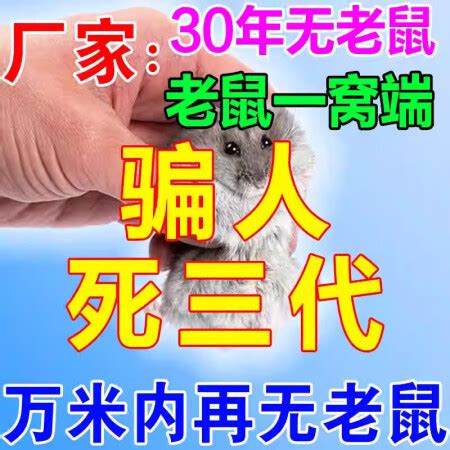 老鼠驱赶神器三步到一闻就死老鼠药一窝端神器家用室内外灭驱鼠丸 老鼠丸老鼠驱赶神器一袋装图片 价格 品牌 报价 京东