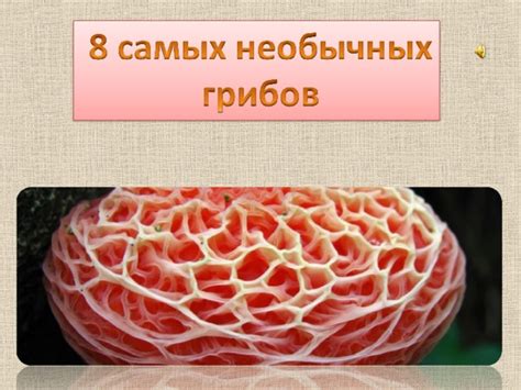 Презентация 8 самых необычных грибов