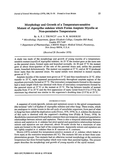 Pdf Morphology And Growth Of A Temperature Sensitive Mutant Of