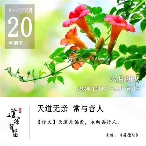 今天的C位属于武进星辰实验学校的小帅哥