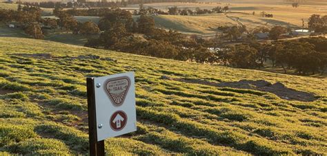 What Is The Clare Valley Wine And Wilderness Trail The Clare Valley Walk