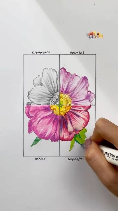 Рисуем цветок в четырех техниках Пиши « в комментариях и мы отправим открытые уроки по