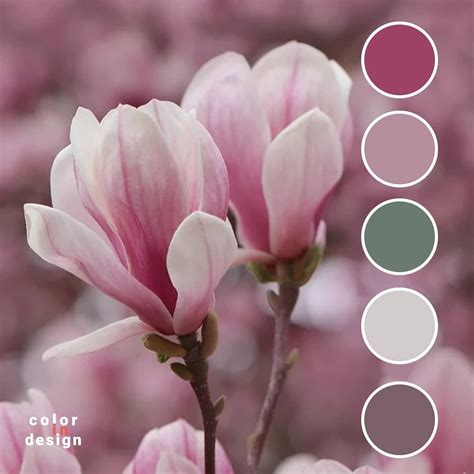 Сочетание цветов красно пурпурный зеленый серый цвета Color Schemes Colour Palettes Color