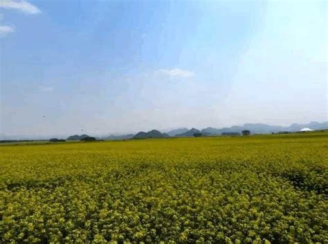 二月國內最美的旅遊聖地堪比馬爾代夫 每日頭條