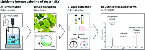 Lipid Quantification Kit Colorimetric At Gladys Starr Blog