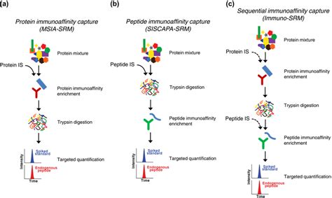 Antibody‐based Affinity Enrichment For Improving Targeted Proteomics Download Scientific