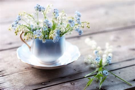 배경 화면 꽃들 녹색 푸른 봄 미술 플로라 2048x1366px 생기게 하다 육상 식물 꽃 피는 식물 매크로 사진 플로리스트 리 꽃다발 꽃꽂이