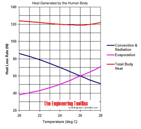 Metabolic Heat Gain From Persons