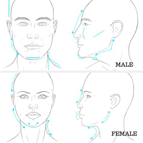 Jawlines Understanding Gender Differences Facial Ageing And Defining