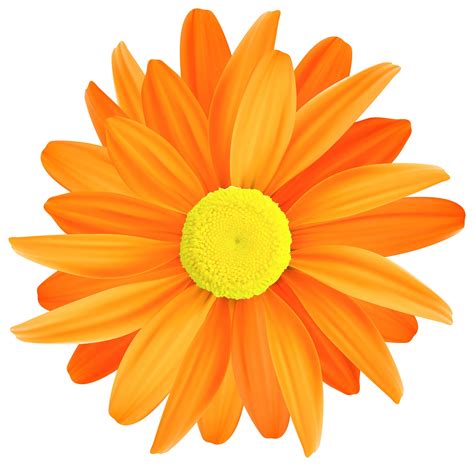 Esk Garden And Lifestyle Fair Esk Qld