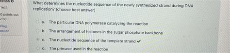 Solved What Determines The Nucleotide Sequence Of The Newly Chegg