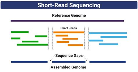 short read sequencing principle process examples uses