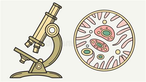 Microscope And Microbes Scientific Exploration Vector Design