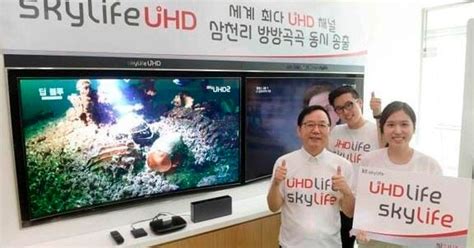 Kt스카이라이프 지난해 영업익 978억원전년比 255 증가
