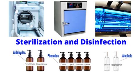 Pasteurization Vs Sterilization Global Advancement Of Solar