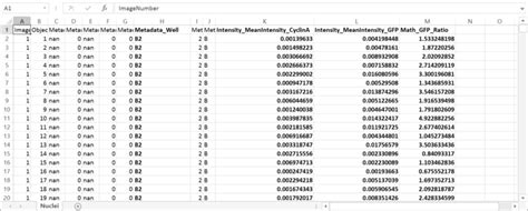 Screen Capture Of The Output File Nucleicsv When Opened In Microsoft