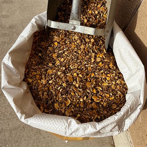 Show Lamb Feed Leland Mills