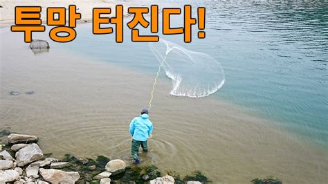 얕은 곳에서 놀고 있는 수십마리 물고기떼에게 투망을 던졌더니 Youtube