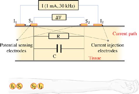 Figure 1 From Cardiovascular Diseases Diagnosis By Impedance Cardiography Semantic Scholar